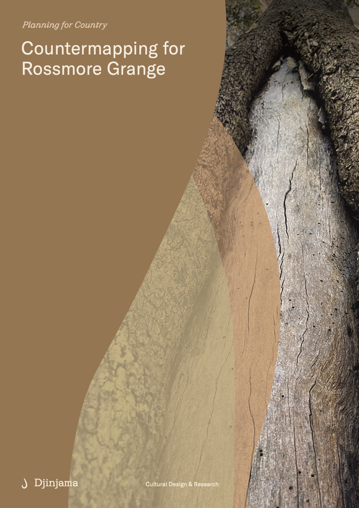 Planning for Country Countermapping - Djinjama